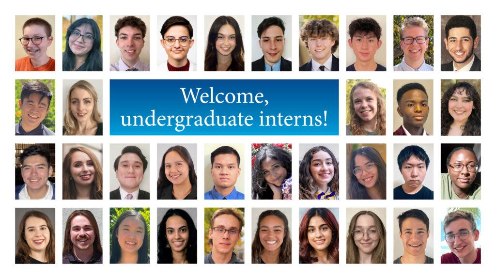 Meet the Summer 2023 Undergraduate Interns